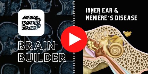 The Inner Ear and Ménière’s Disease | Anatomy Resources