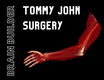 Tommy John Surgery | From Bones to Brains with Bob