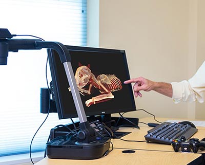 How 3D Anatomy Technology Is Transforming Veterinary Education