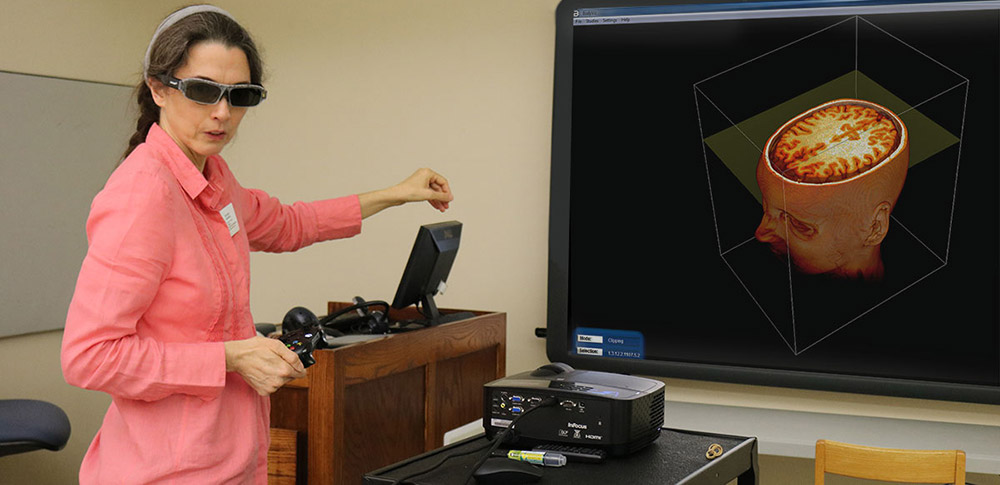 BodyViz | Combating Anatomy Resource and Funding Restrictions