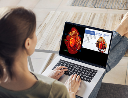 Online Anatomy Lab | 3D Virtual Dissection | BodyViz