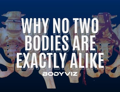Why No Two Bodies Are Exactly Alike | Real 3D Anatomy
