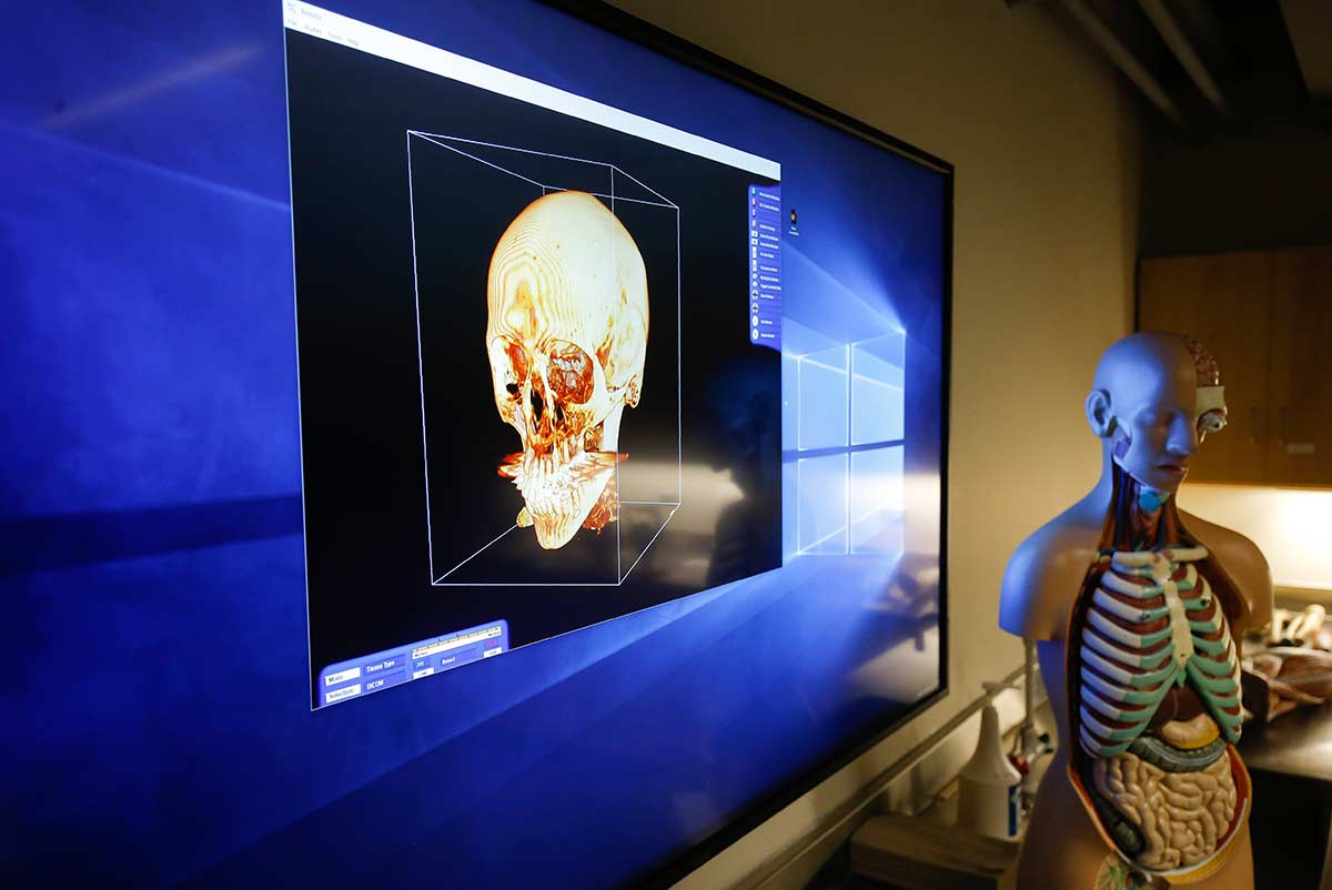 Images and Videos | 3D Anatomy Software| BodyViz